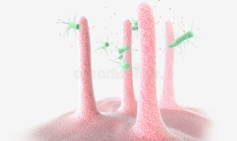 Highly Contagious Disease Warning Sign Stock Vector - Illustration of ...