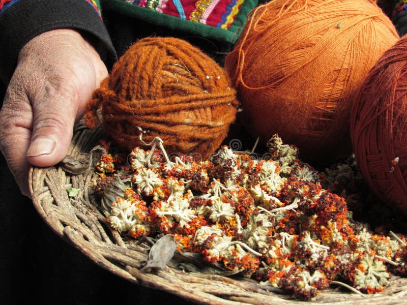 Peru alpaca weaving stock photo. Image of peru, wool - 41194770