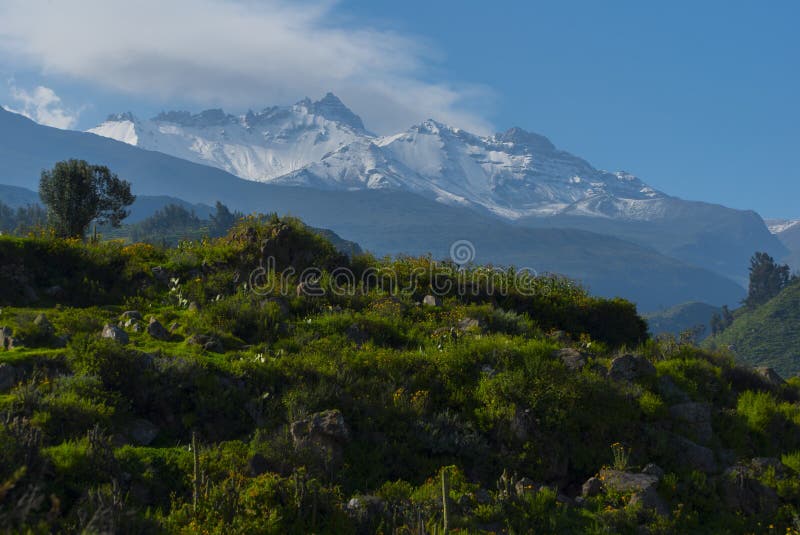 Peru berg fotografering för bildbyråer. Bild av lopp - 94302119
