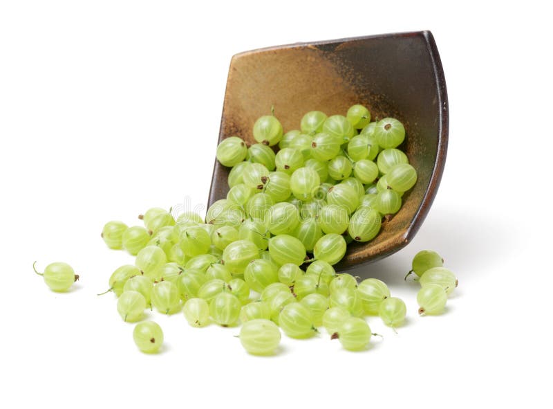 Peru Groundcherry stock photo. Image of healthy, physialis - 145827728