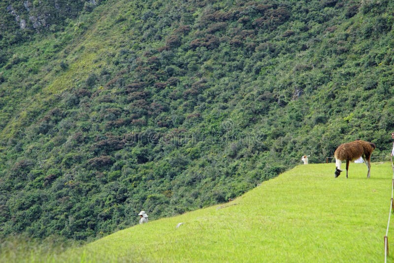 Peru Mountain stock image. Image of peru, colorful, green - 94328513