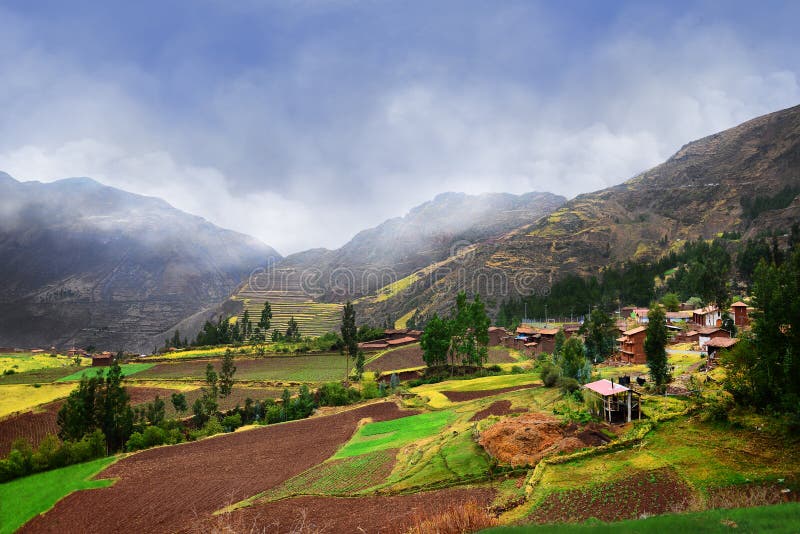Peruvian Agriculture on High Mountains Stock Photo - Image of peru ...