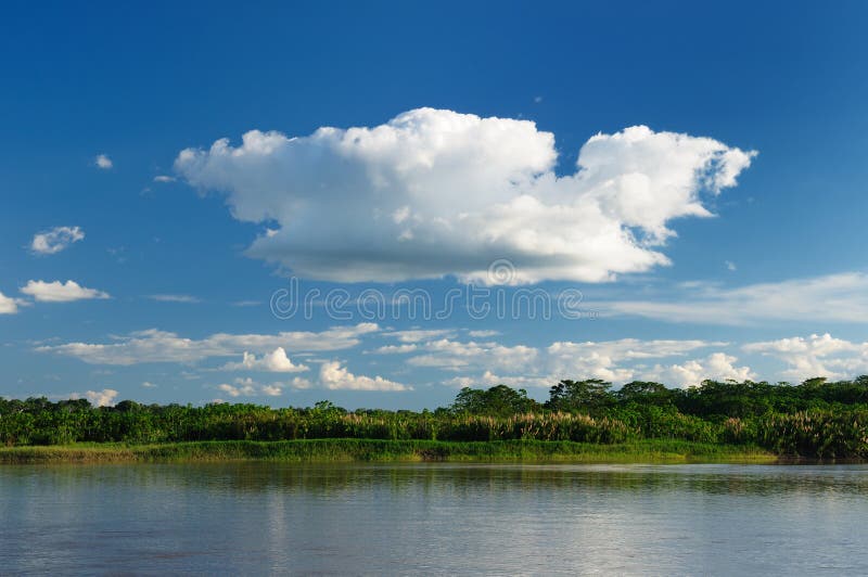 Amazon River Landscape in Brazil Stock Image - Image of amazon, protect ...