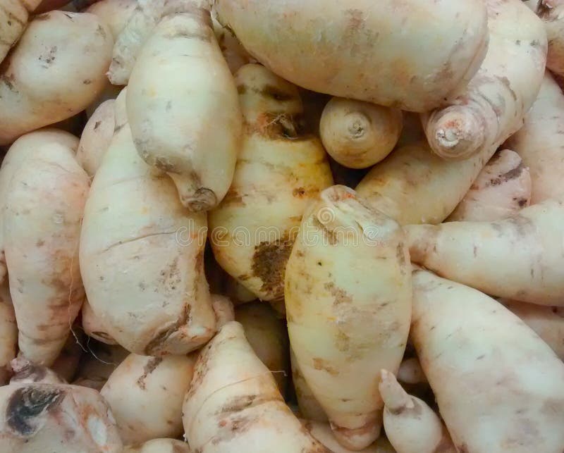 Peruvian andean potatoes stock photo. Image of peruvian - 85864342