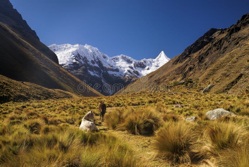 Peruvian Andes stock photo. Image of scenery, idyllic - 49449740