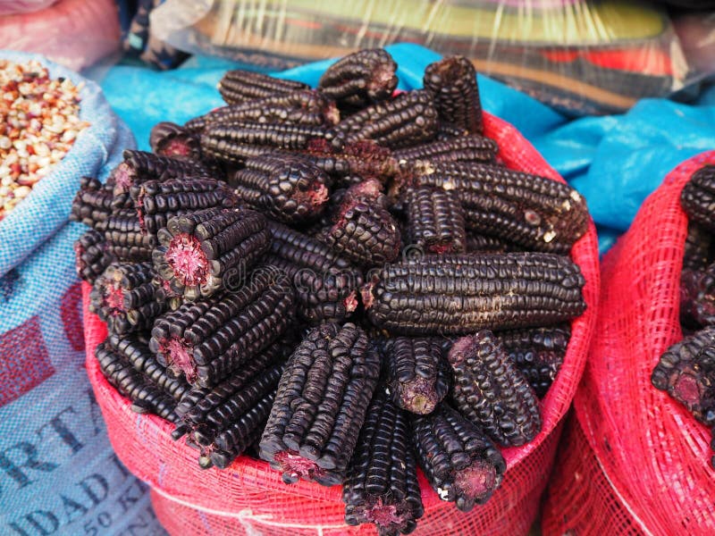 Peruvian Black Corn on the Cob Stock Image - Image of kernels, cereal ...