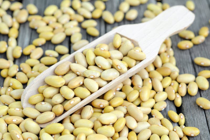 Peruvian Canary (Peruano) Beans Stock Image - Image of beans, peruvian ...