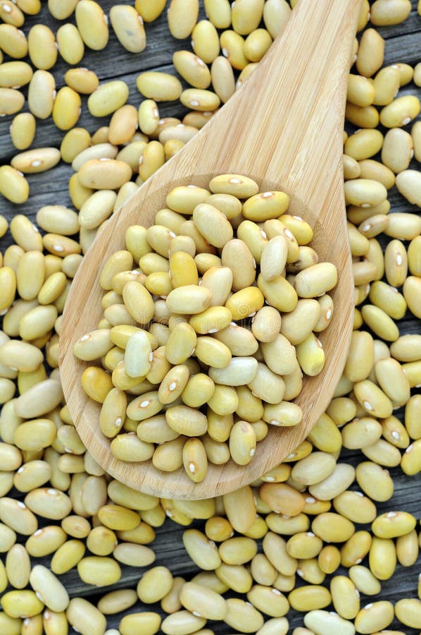 Peruvian Canary stock photo. Image of spoon, cultivated - 40269222