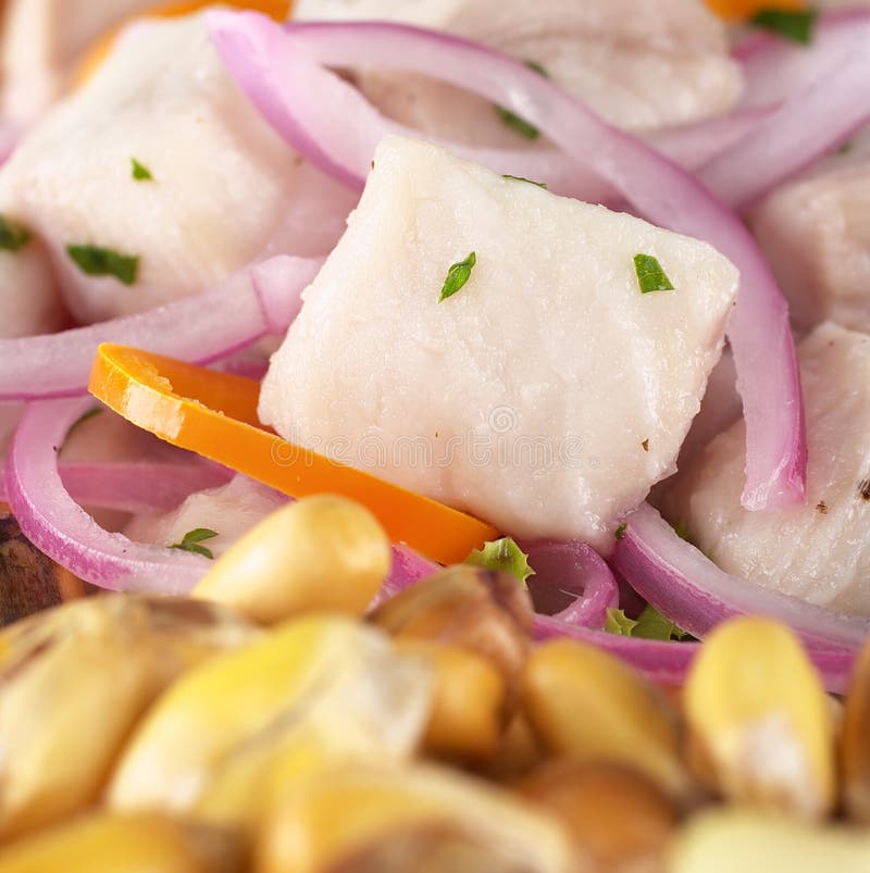 Peruvian Ceviche stock photo. Image of photograph, cooking - 19570732