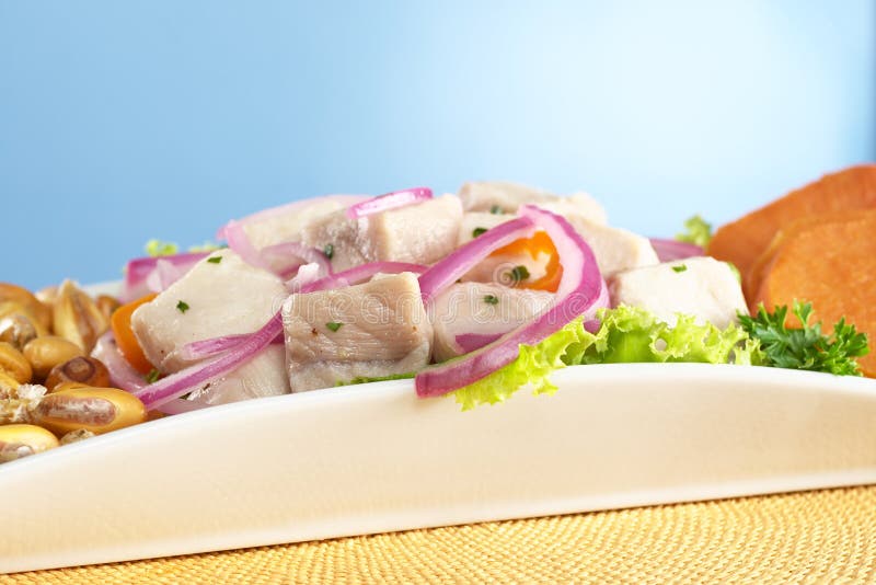 Peruvian Ceviche stock image. Image of cebiche, photograph - 19682955
