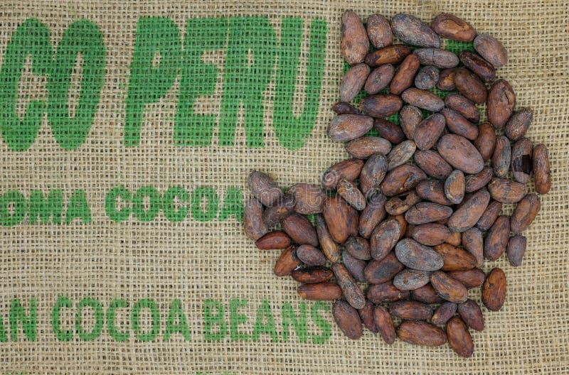 Peruvian Cocoa Beans on a Jute Background. Stock Photo - Image of ...