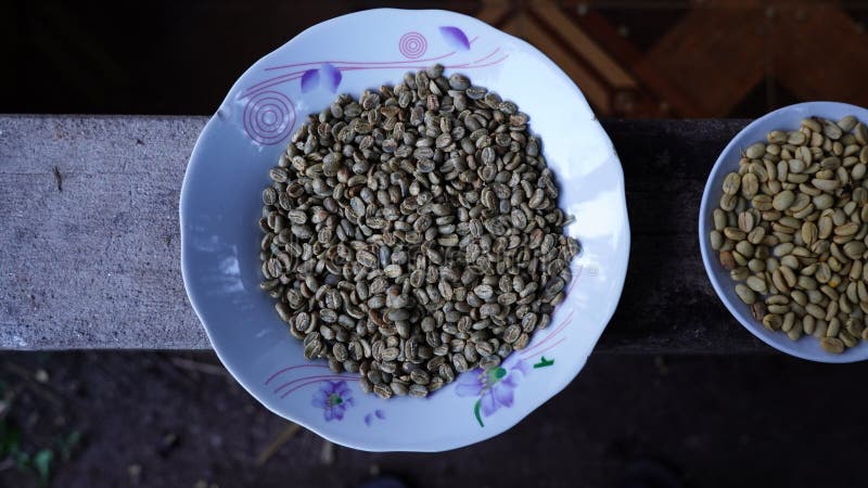 Peruvian coffee process stock photo. Image of seed, backgrounds - 337346880