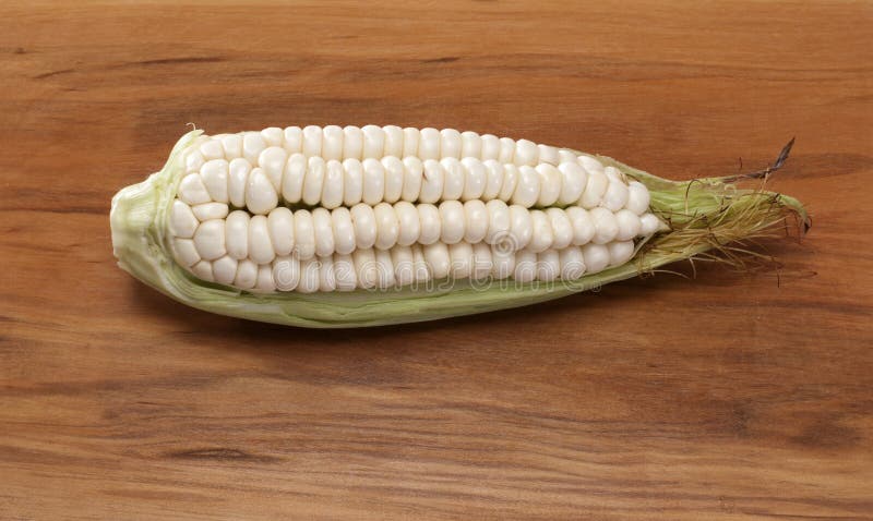 Andean white corn stock image. Image of andes, white - 108277083