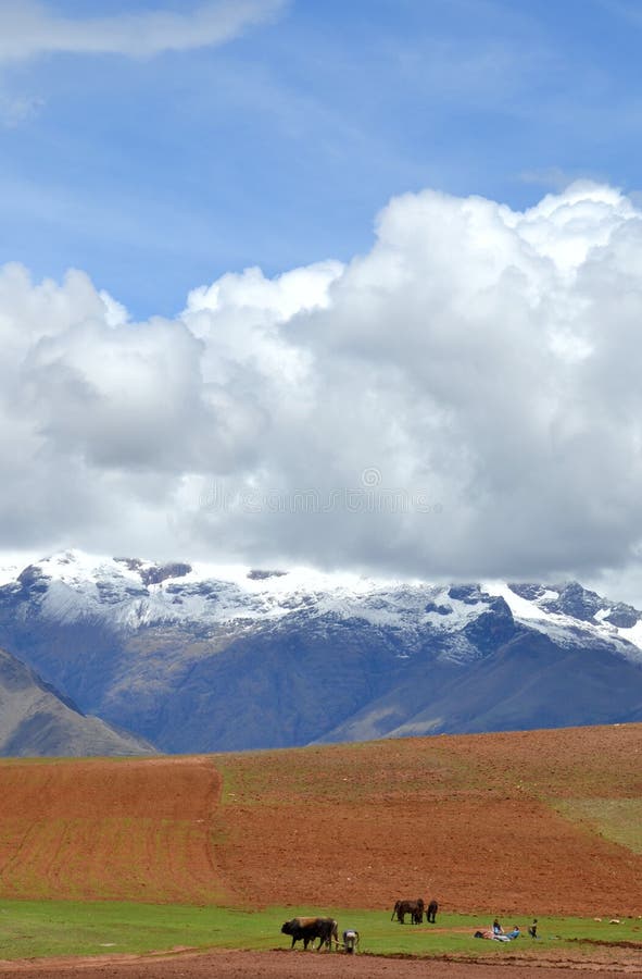 Peruvian Farming editorial photography. Image of andes - 18570167