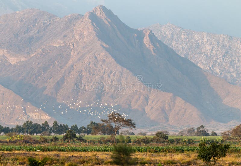 Peruvian Farmland with the Andes in the Background Stock Image - Image ...