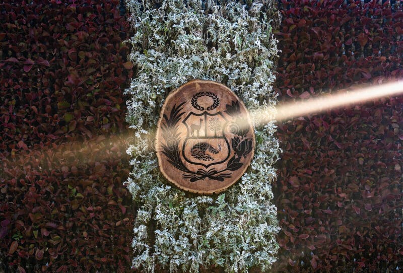 Peruvian Flag Made with Flowers Stock Image - Image of design, shield ...