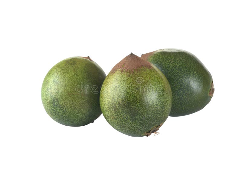 Peruvian Fruit Called Lucuma Stock Image - Image of lucuma, subtropical ...