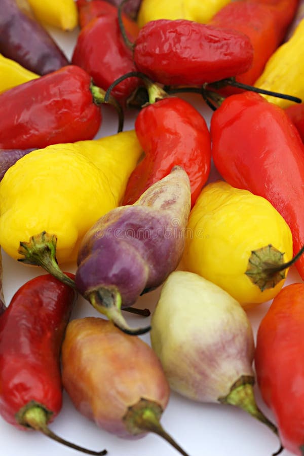 Machu Picchu, Peru. stock photo. Image of cusco, inca - 16840192