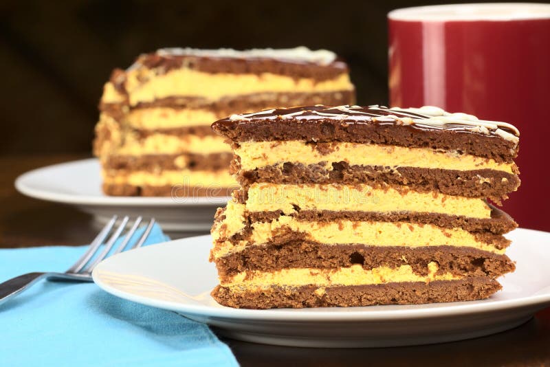 Peruvian Lucuma Cake stock photo. Image of chocolate - 20947808