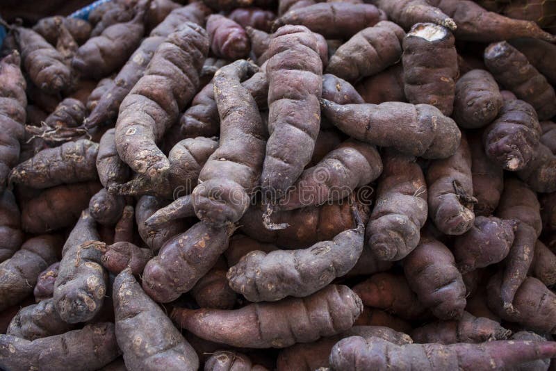 Peruvian Native Potatoes Called `oca`on a Market, Arequipa, Peru Stock ...
