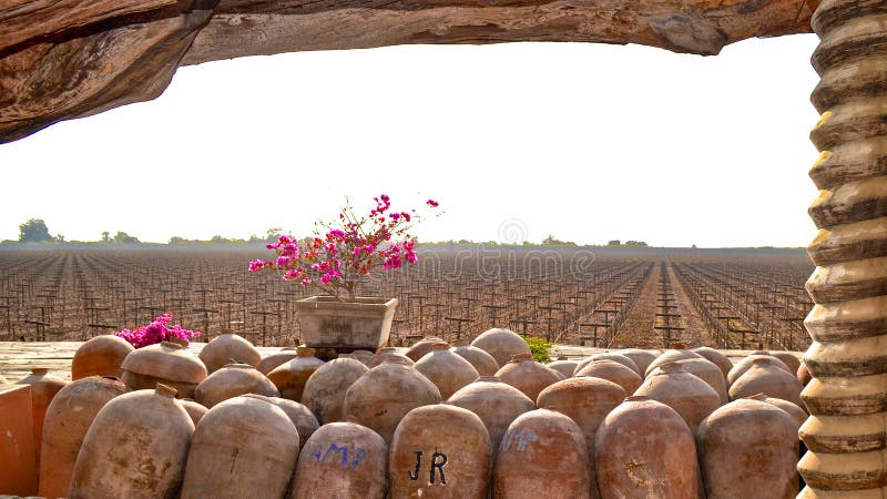 Peruvian Pisco and Wine Production, Ica, Peru Editorial Photo - Image ...