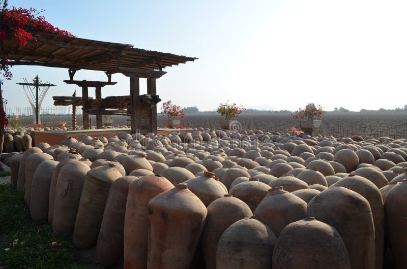 Peruvian Pisco and Wine Production, Ica, Peru Editorial Stock Photo ...