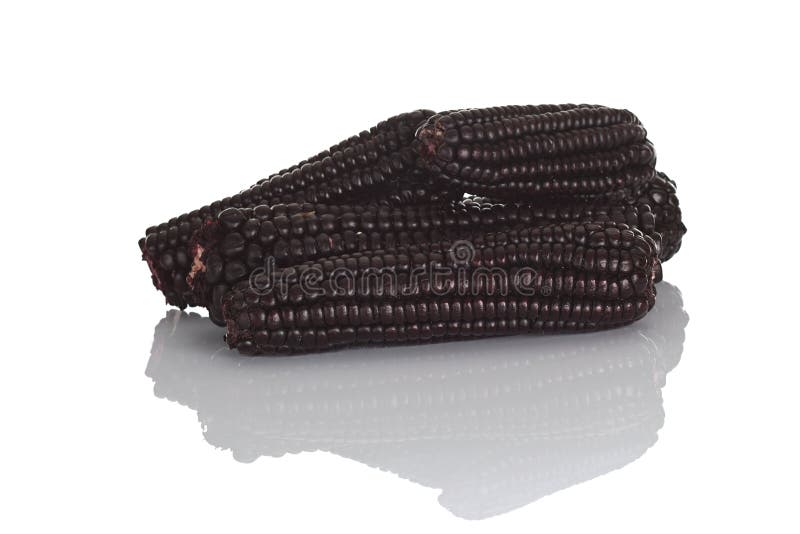 Peruvian Purple Corn stock image. Image of crop, unique - 19570689