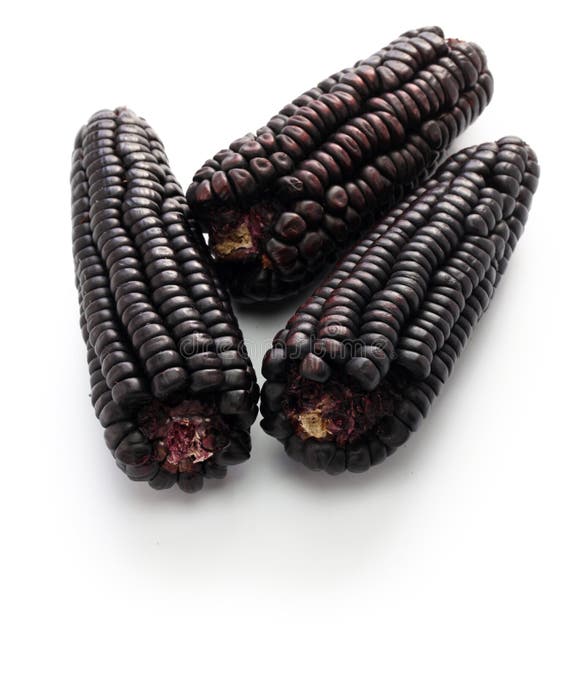 Peruvian purple corn stock image. Image of juice, maiz - 127636539