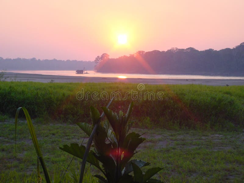 Peruvian Sunset stock image. Image of sunrise, south, jungle - 16587