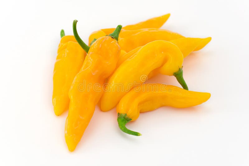 Peruvian yellow chili stock photo. Image of pepper, ingredient - 45113762