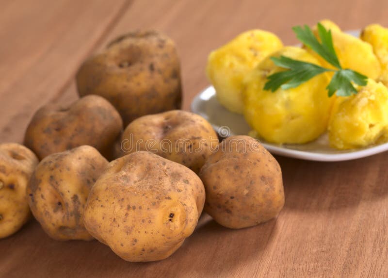 Peruvian Yellow Potato stock image. Image of dinner, peru - 19494843
