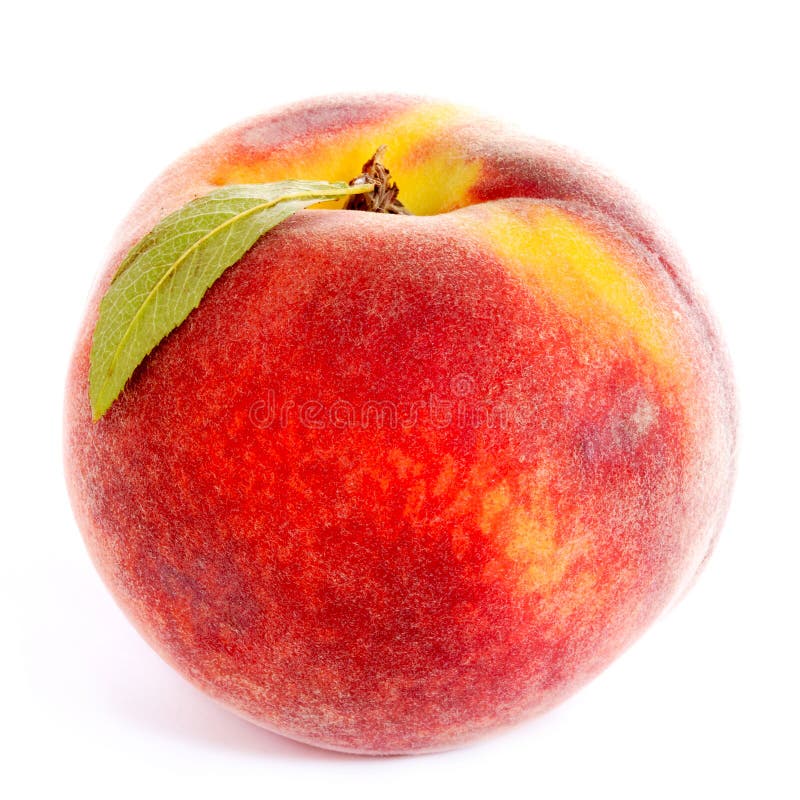 Perzik stock afbeelding. Image of perzik, blad, besnoeiing - 15451523