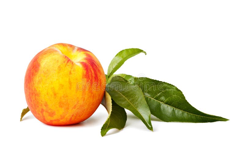 Perzik stock afbeelding. Image of besnoeiing, plak, sappig - 127008265