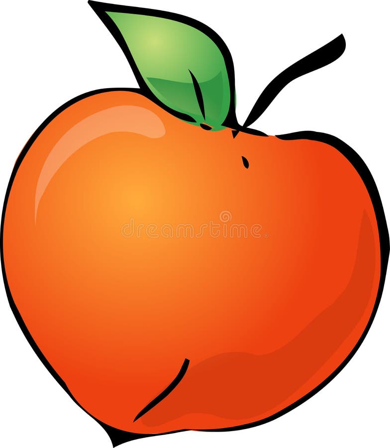 Perzik vector illustratie. Illustration of tekening, retro - 2659189
