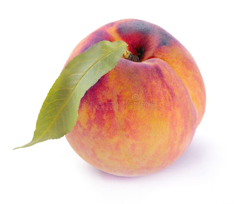 Perzik stock foto. Image of bladeren, rood, zomer, organisch - 34053684