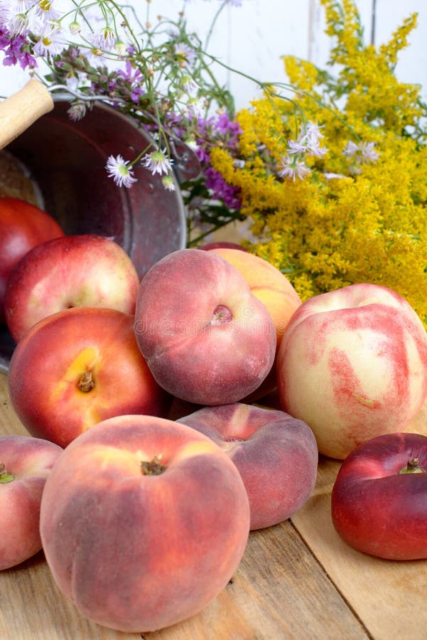 Geel Perziksap En Rode Nectarines Met Groene Bladeren, Half, Zaad ...