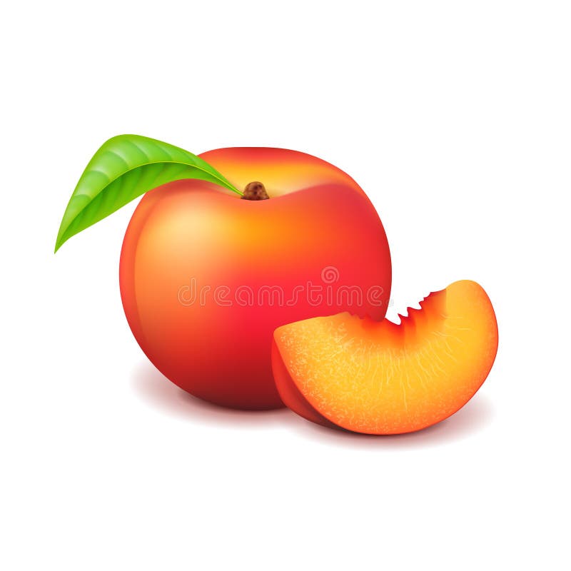 Perzik En Plak Op Witte Vector Vector Illustratie - Illustration of ...