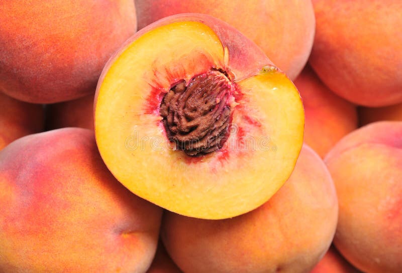 Perziken stock foto. Image of nagerecht, heerlijk, oogst - 11037126