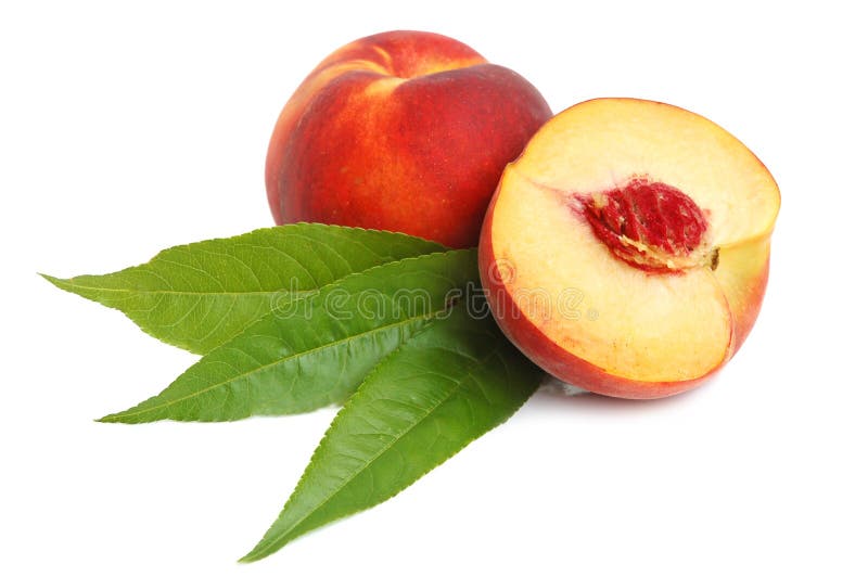 Perziken stock foto. Image of geïsoleerd, besnoeiing - 11362036