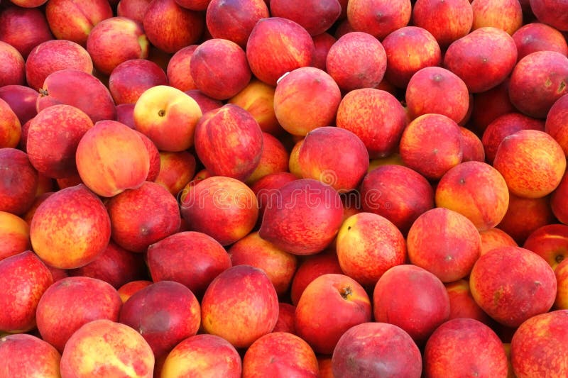 Perziken stock foto. Image of gebakje, koken, perzik - 113994384