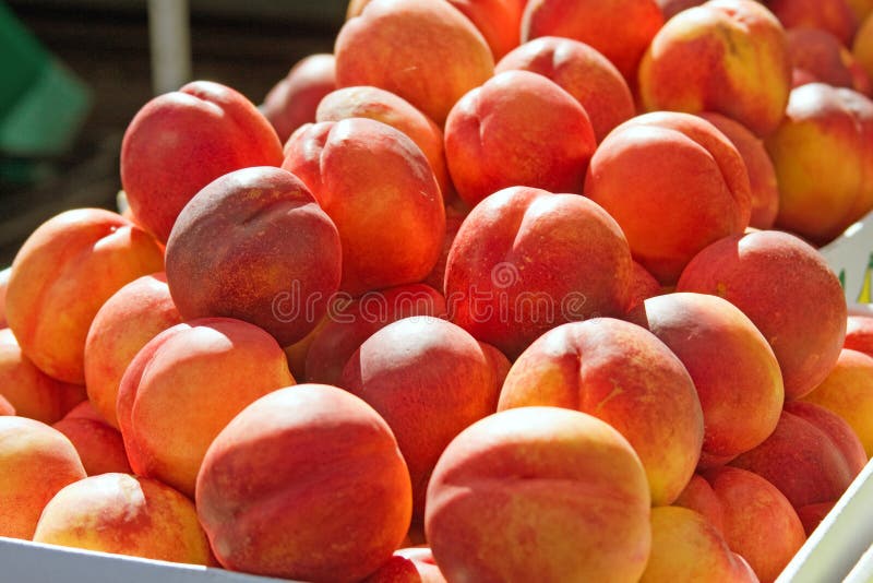 Perziken op de markt stock afbeelding. Image of perzik - 63344975