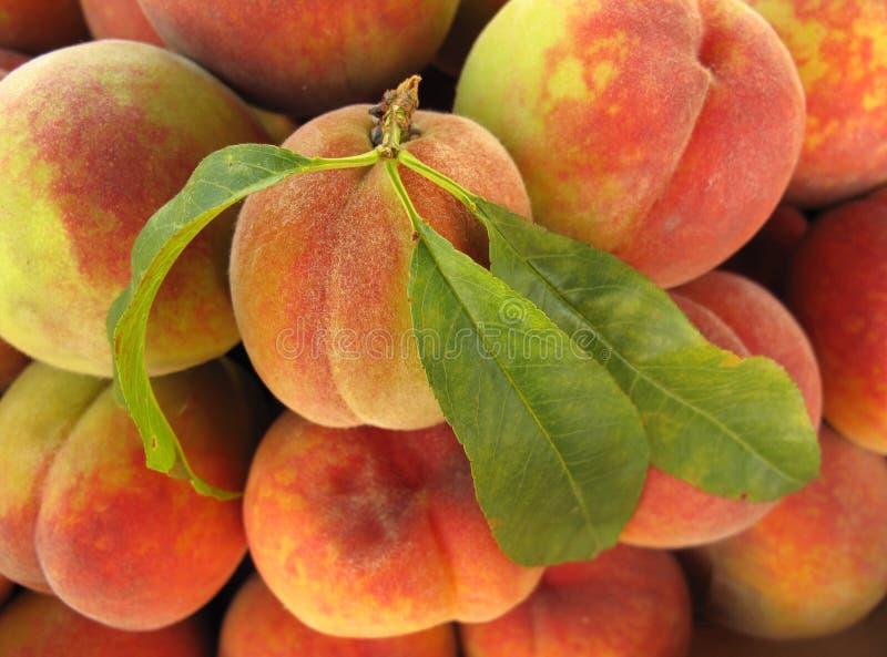 Perziken Met Groene Bladeren Stock Afbeelding - Image of horizontaal ...