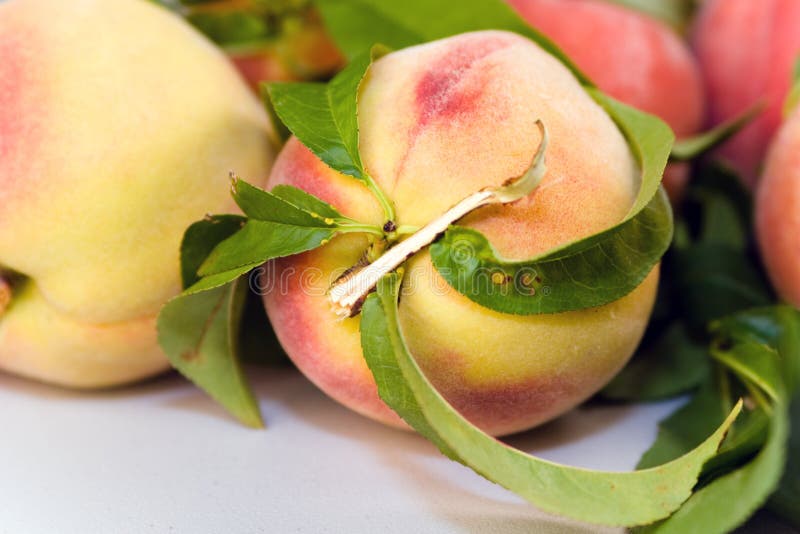 Perziken op Lijst stock foto. Image of perziken, gegroeid - 15384104