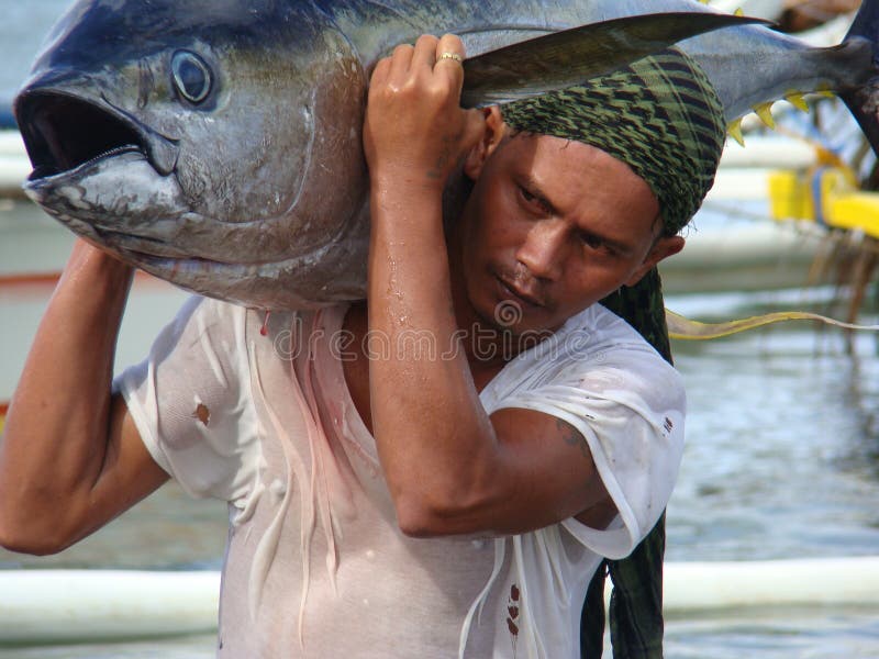 Pesca Artisanal De Atum De Atum Amarelo Em Philippines#17 Fotografia ...