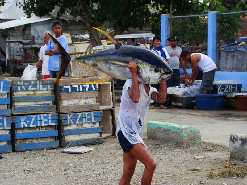 Pesca Artisanal De Atum De Atum Amarelo Em Philippines#21 Imagem ...