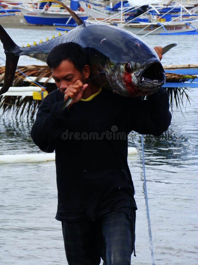 Pesca Artisanal De Atum De Atum Amarelo Em Philippines#22 Imagem ...