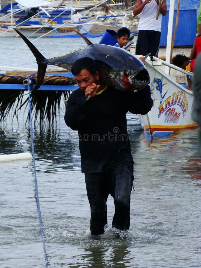 Pesca Artisanal De Atum De Atum Amarelo Em Philippines#29 Foto de Stock ...