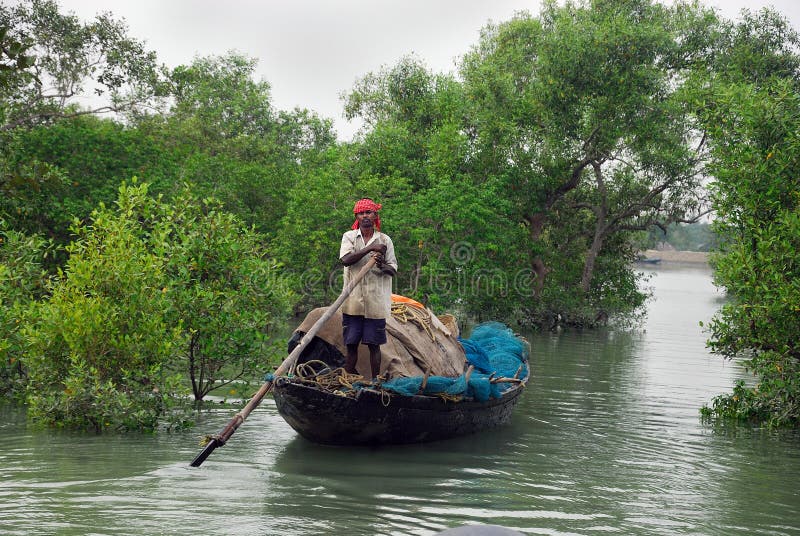 Pescador indio fotografía editorial. Imagen de activo - 14733327