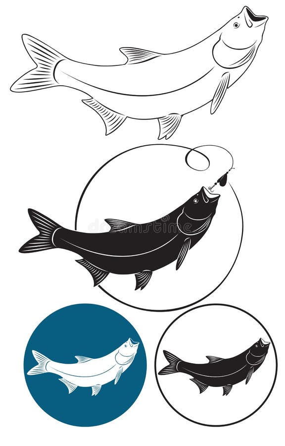 Pescados del cacho ilustración del vector. Ilustración de carpa - 28040909