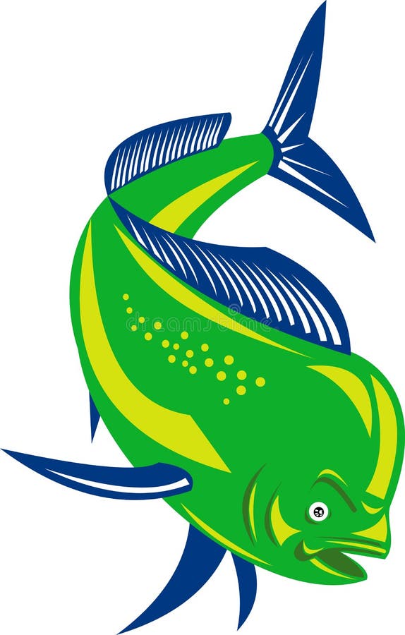 Vector De Los Pescados De Dorado De La Vaca Del Delfín Ilustración del ...